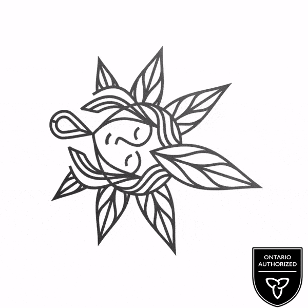 AlphaBud Cannabis Company | ABC co – AlphaBudCannabisCo